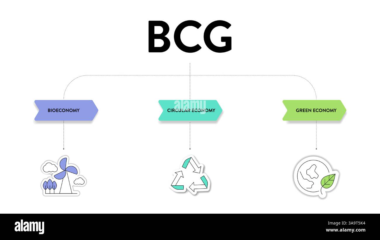 BCG model strategy infographic diagram chart banner template for ...