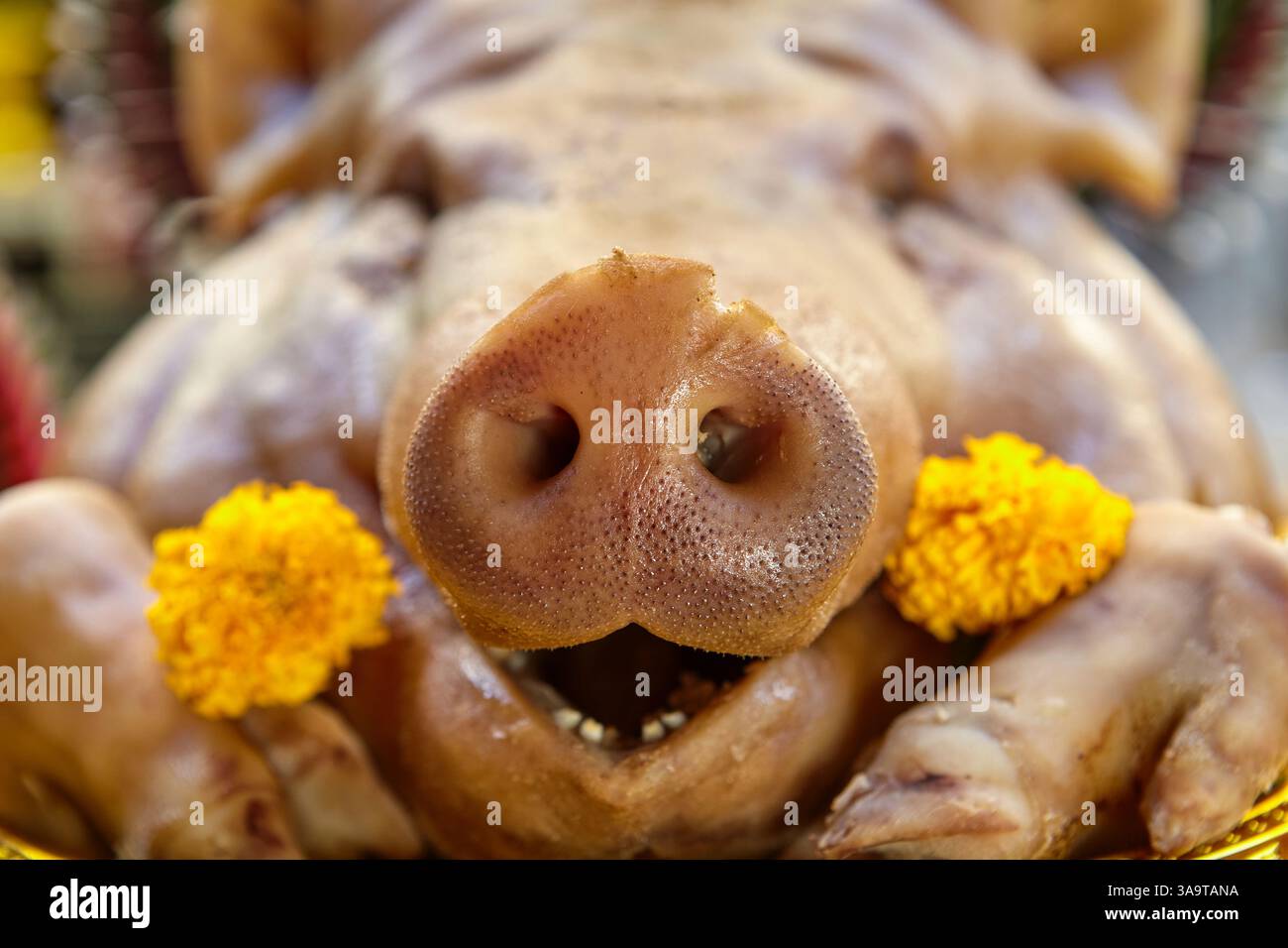 Roasted pig’s head for offerings to pay respect god Stock Photo - Alamy