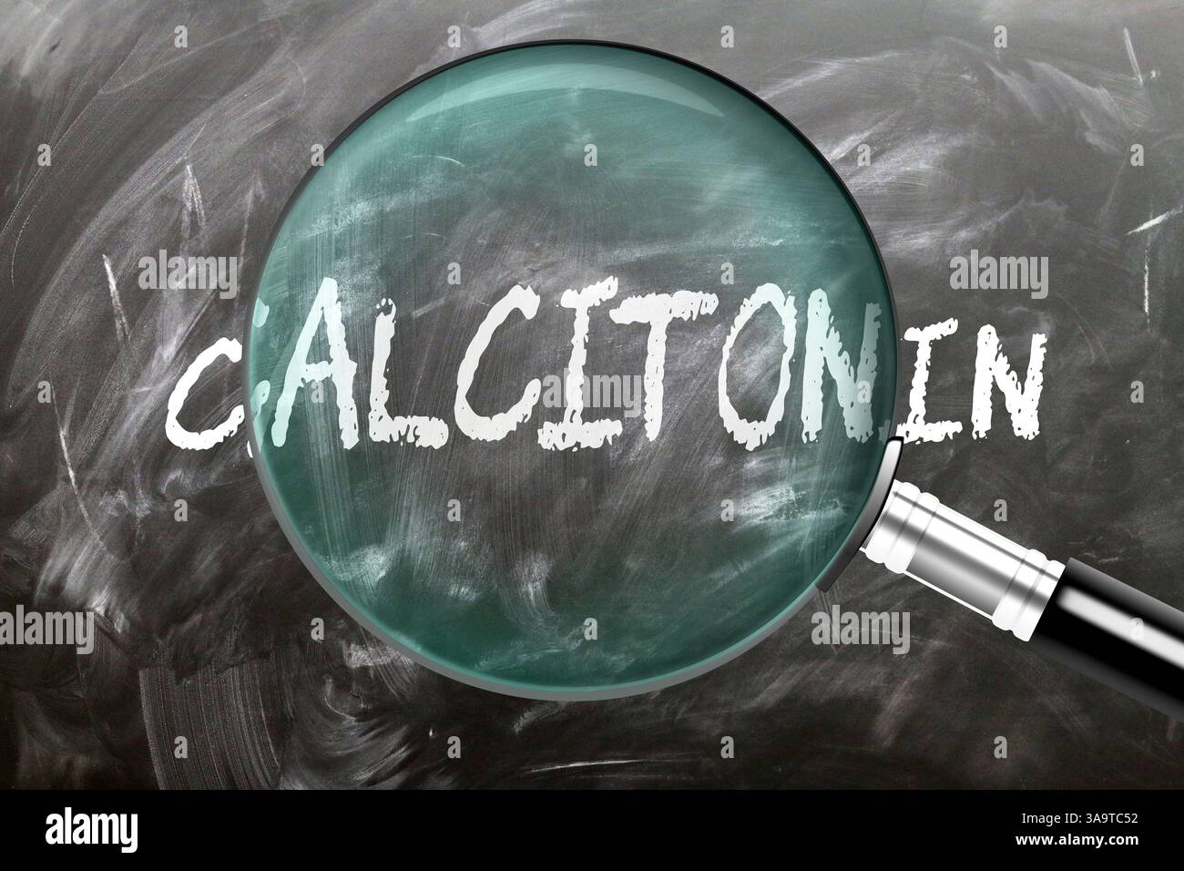 Calcitonin learn hi-res stock photography and images - Alamy