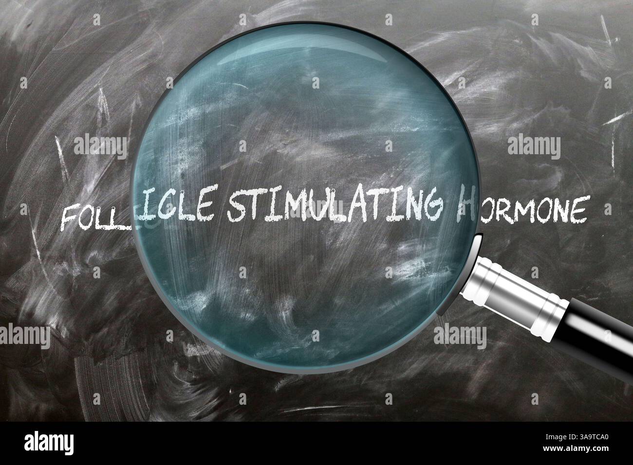 Follicle Stimulating Hormone - learn, study and inspect it. Taking a ...