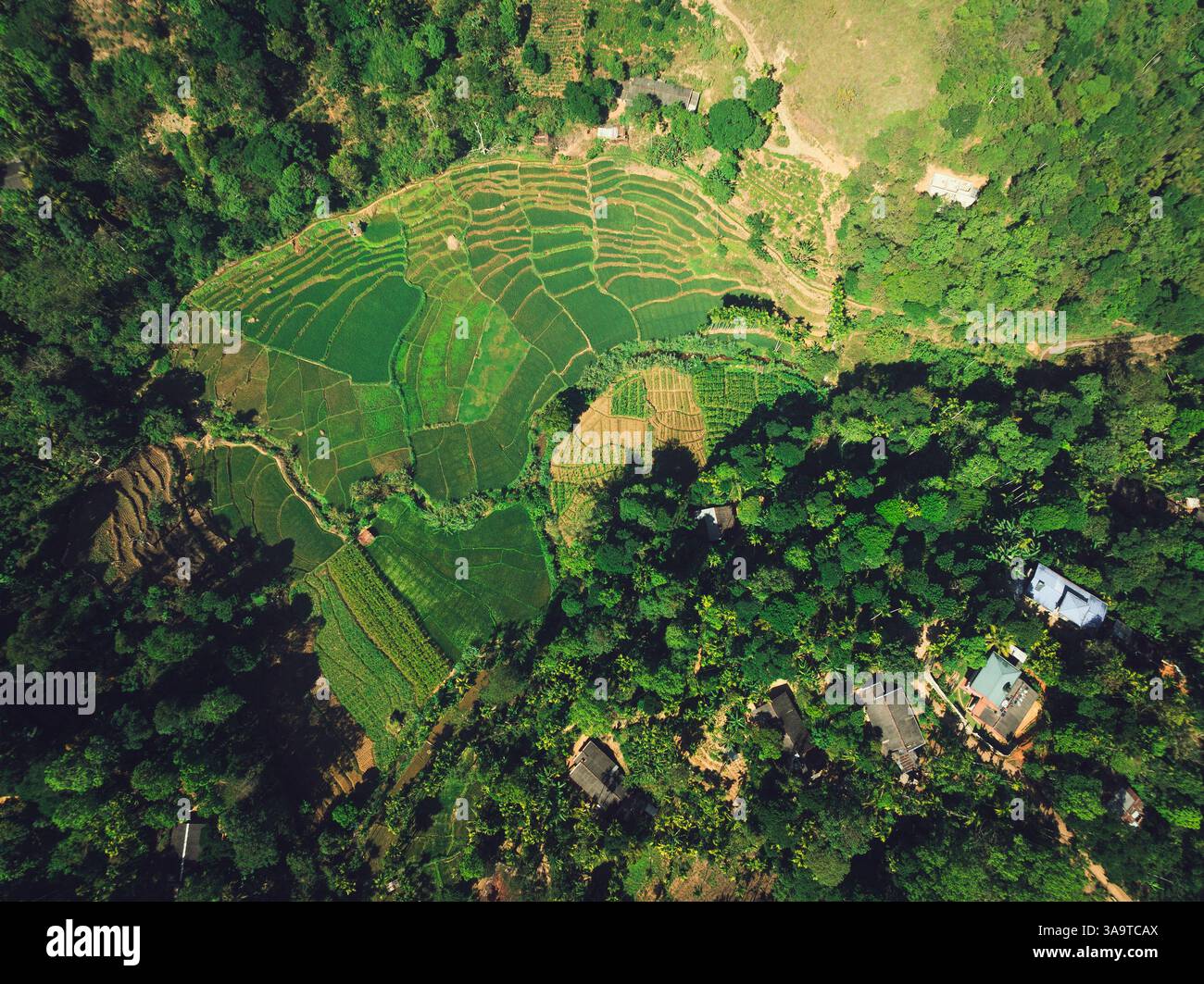 Ella sri lanka fields mountains hi-res stock photography and images - Alamy