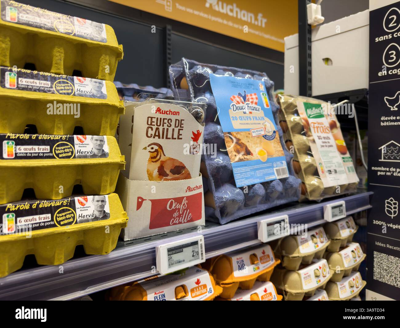 Paris, France - Mar 14, 2025: Various egg cartons including quail eggs ...