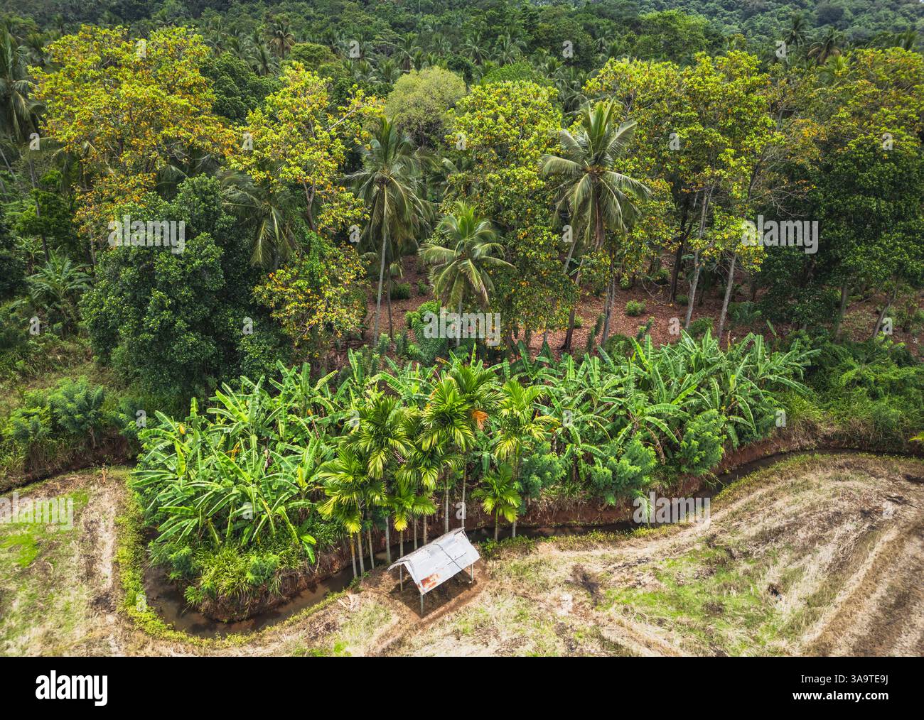 Jungle sunrise aerial hi-res stock photography and images - Alamy