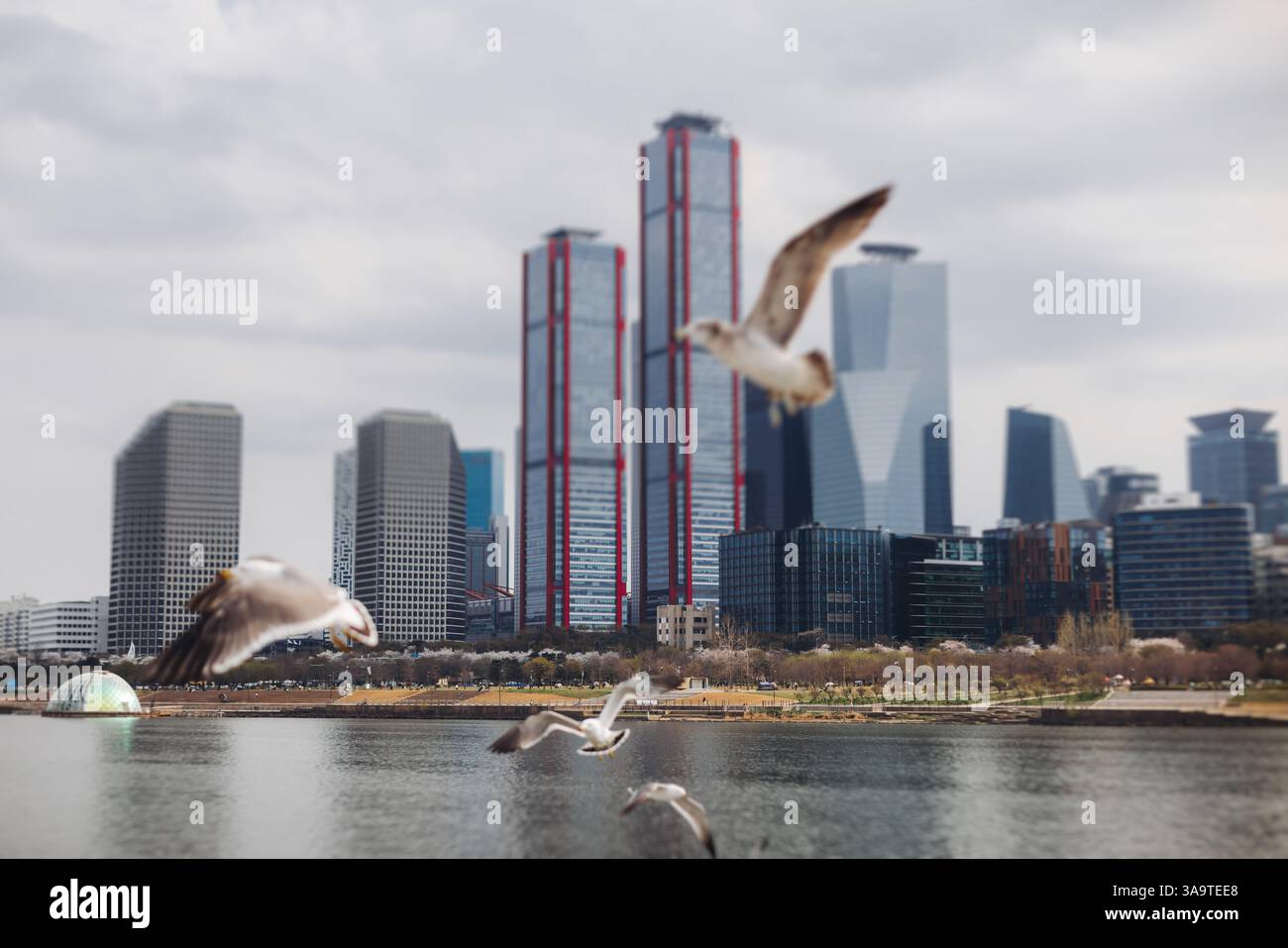 Seoul panoramic view during Hangang river boat cruise, South Korea ...