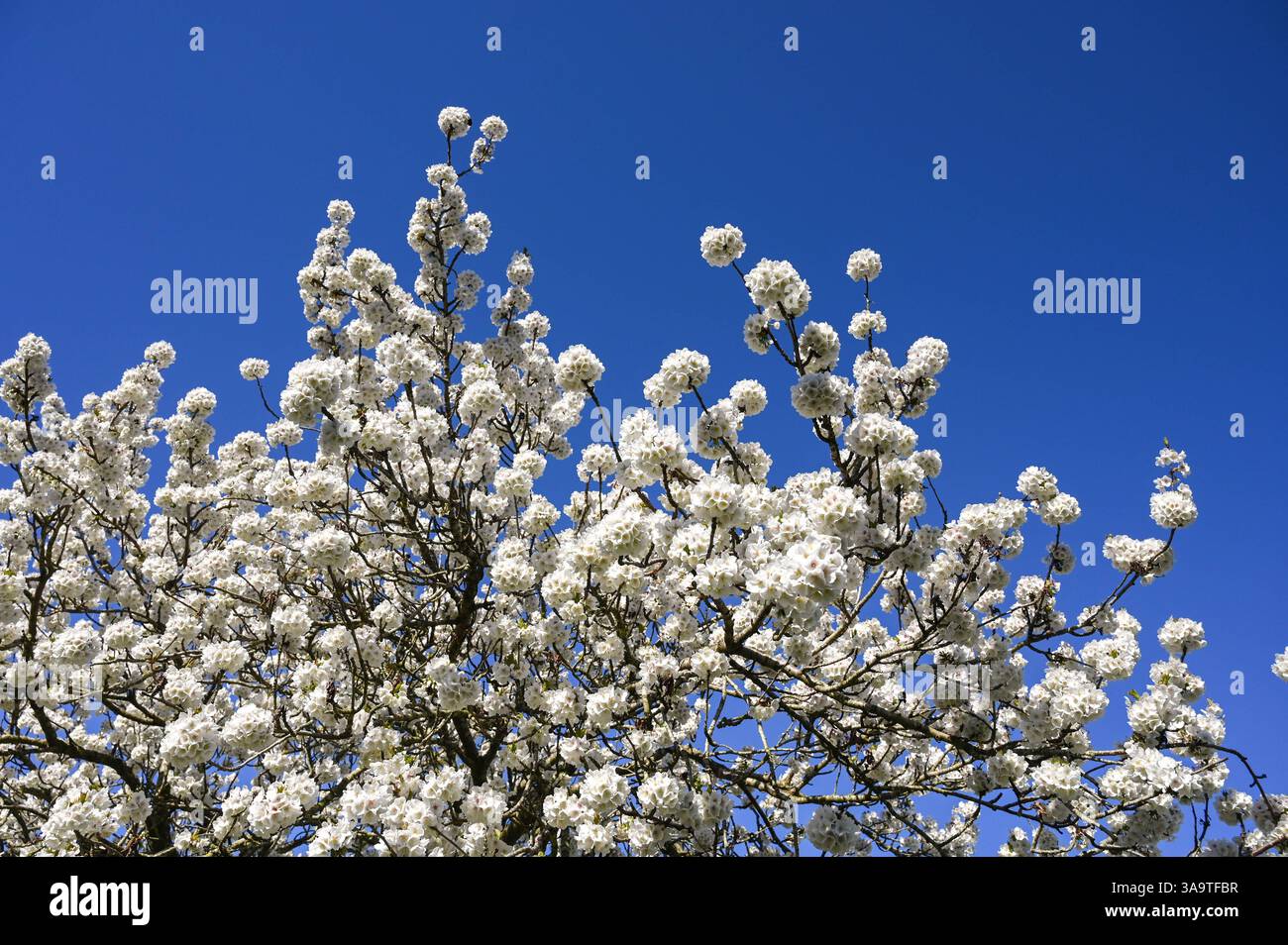 Spring uk weather 2025 hi-res stock photography and images - Alamy