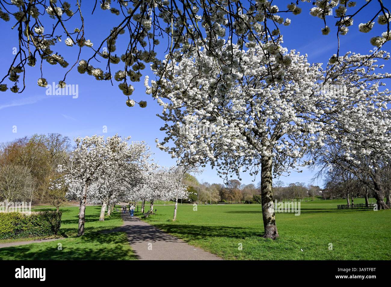 Spring sunshine 2025 hi-res stock photography and images - Alamy