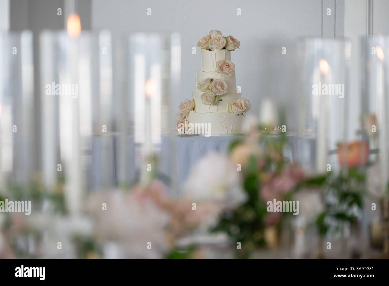 Three-tier wedding cake with blush roses framed by candlelit tab Stock ...