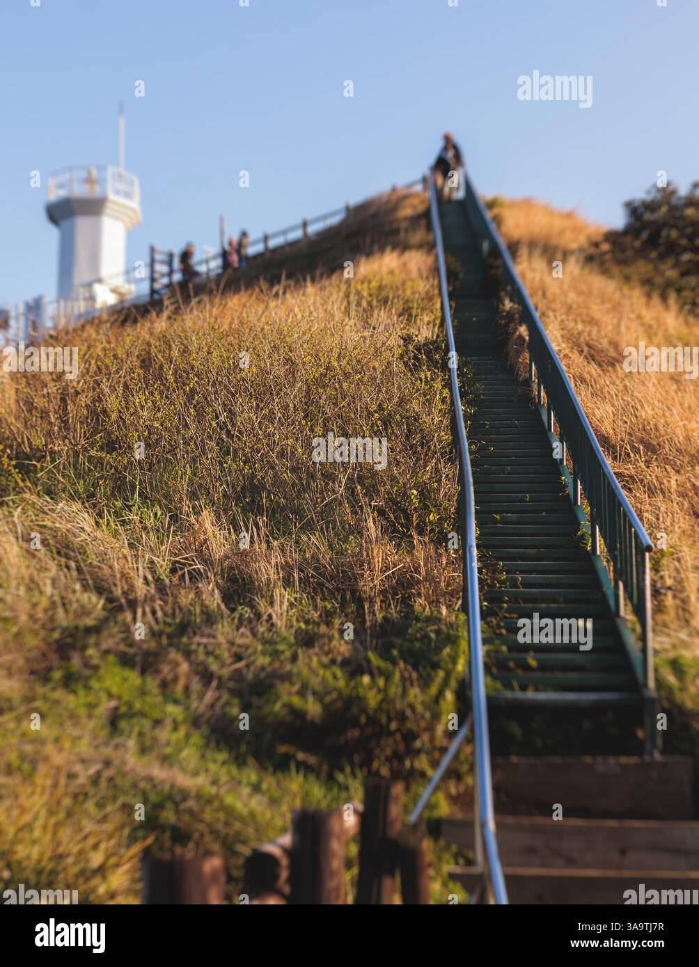 Jeju-do, Seopjikoji cape landscape with lighthouse and sea, east coast ...