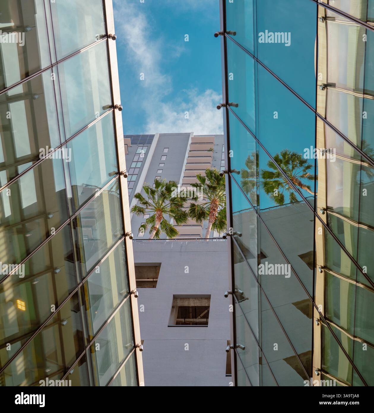 building with windows Downtown Miami Stock Photo - Alamy