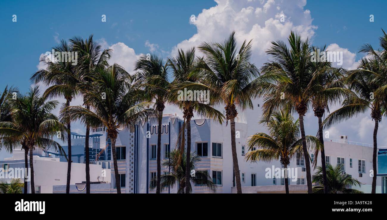 panorama palms buildings in Miami Beach Stock Photo - Alamy