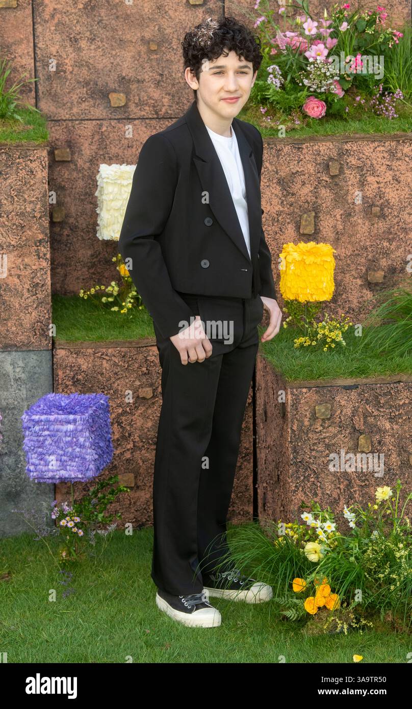 Sebastian Hansen attending the A Minecraft Movie film premiere at ...