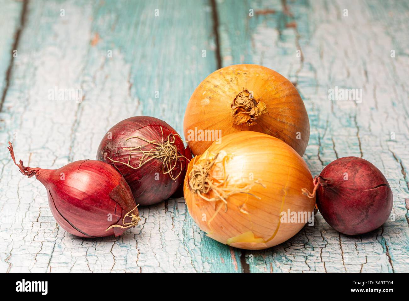 Variety fresh vegetables gathered together hi-res stock photography and ...