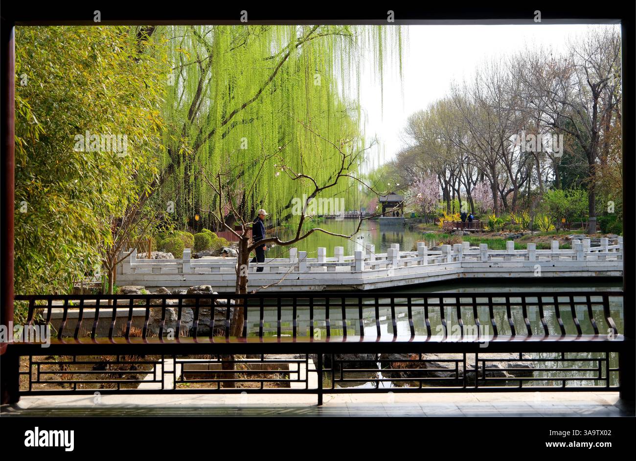 Spring scenery in Beijing, China, 28 March, 2025 Stock Photo - Alamy