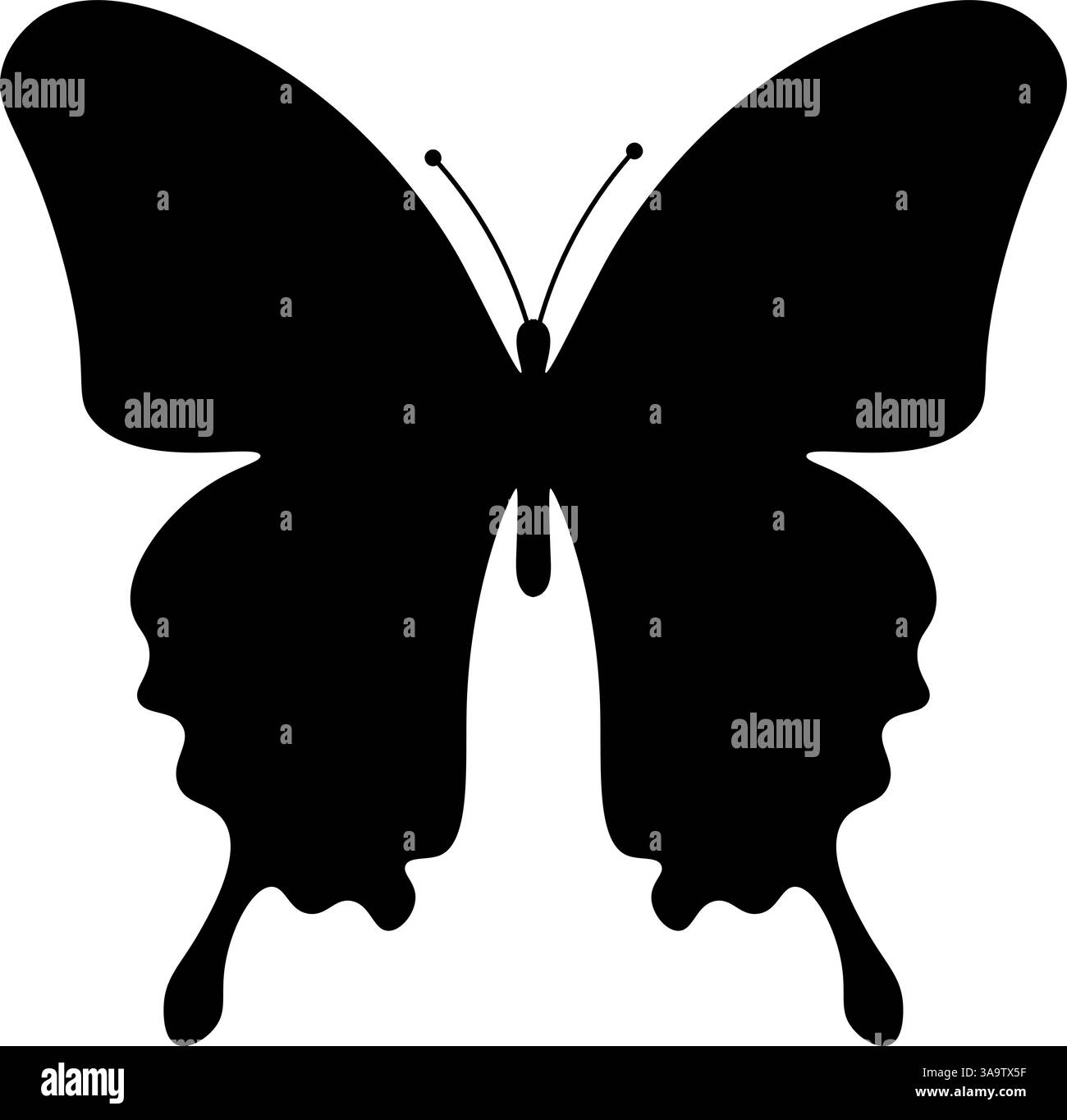 Graceful wing Black and White Stock Photos & Images - Alamy