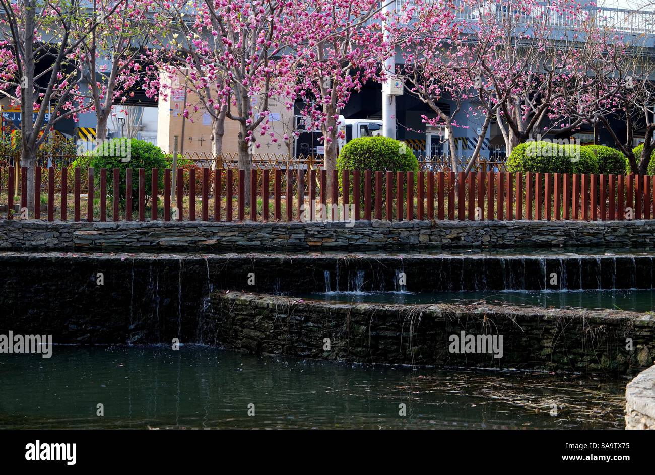 Spring scenery in Beijing, China, 28 March, 2025 Stock Photo - Alamy