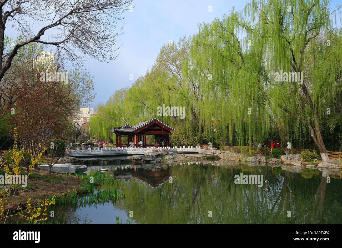Spring scenery in Beijing, China, 28 March, 2025 Stock Photo - Alamy