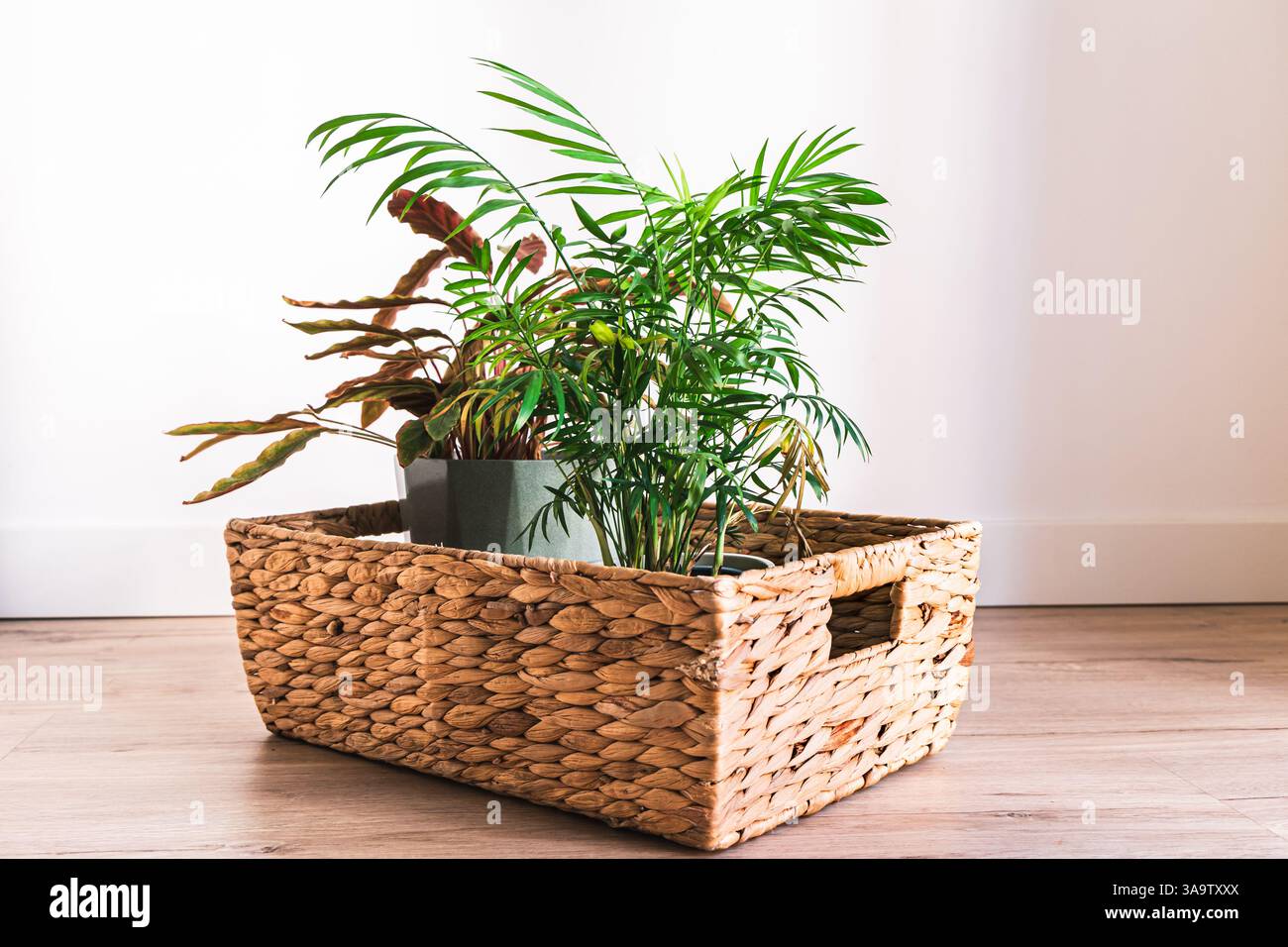 Low side view sideview hi-res stock photography and images - Alamy