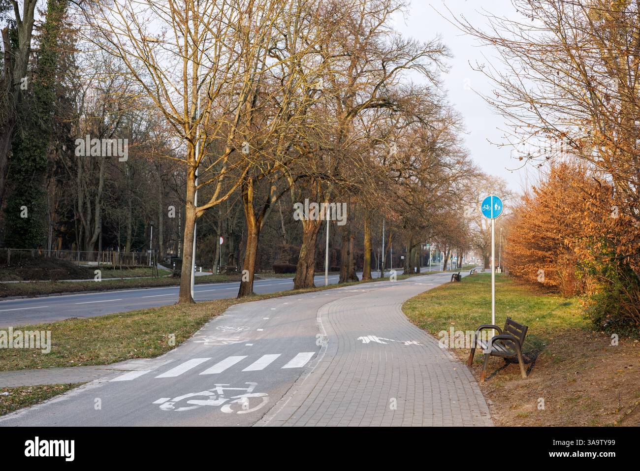 Pedestrian and bicycle paths with pedestrian crossing markings and ...