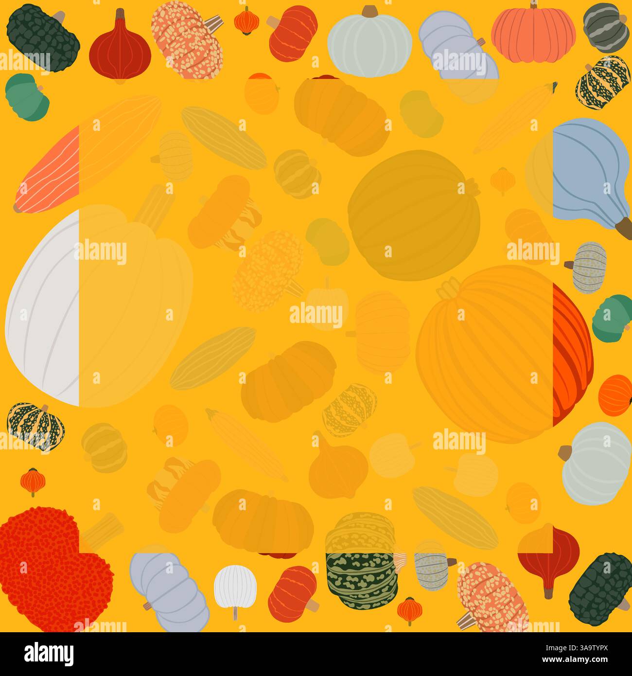 Square banner with types of winter squash. Cucurbita maxima ...