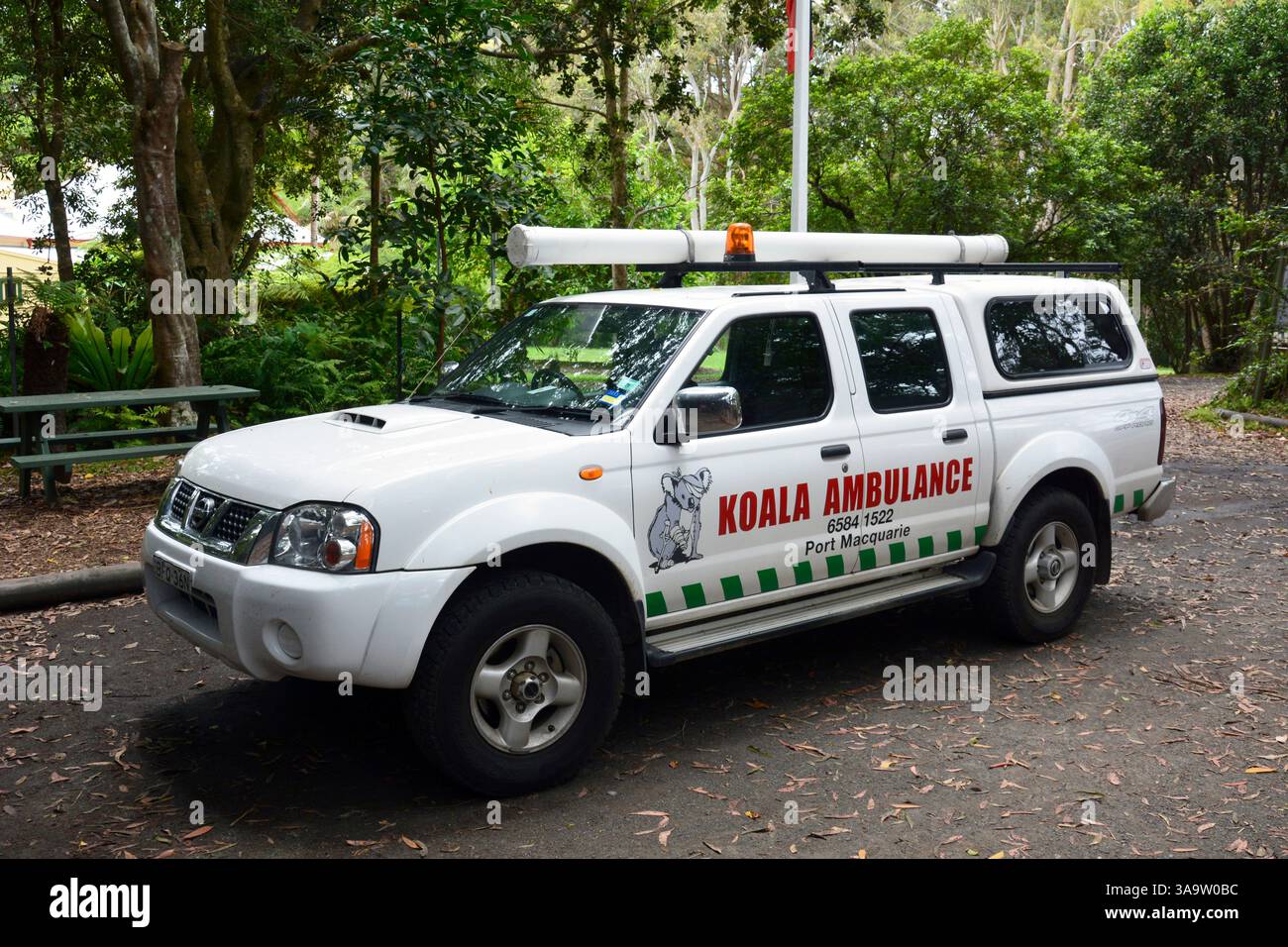 Koala ambulance hi-res stock photography and images - Alamy