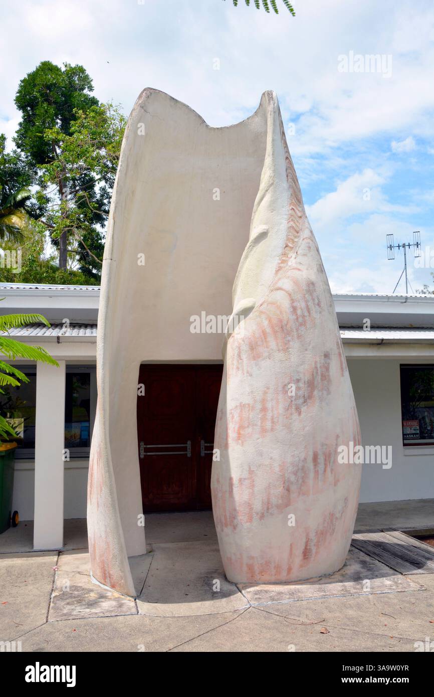 Larger coral structure hi-res stock photography and images - Alamy