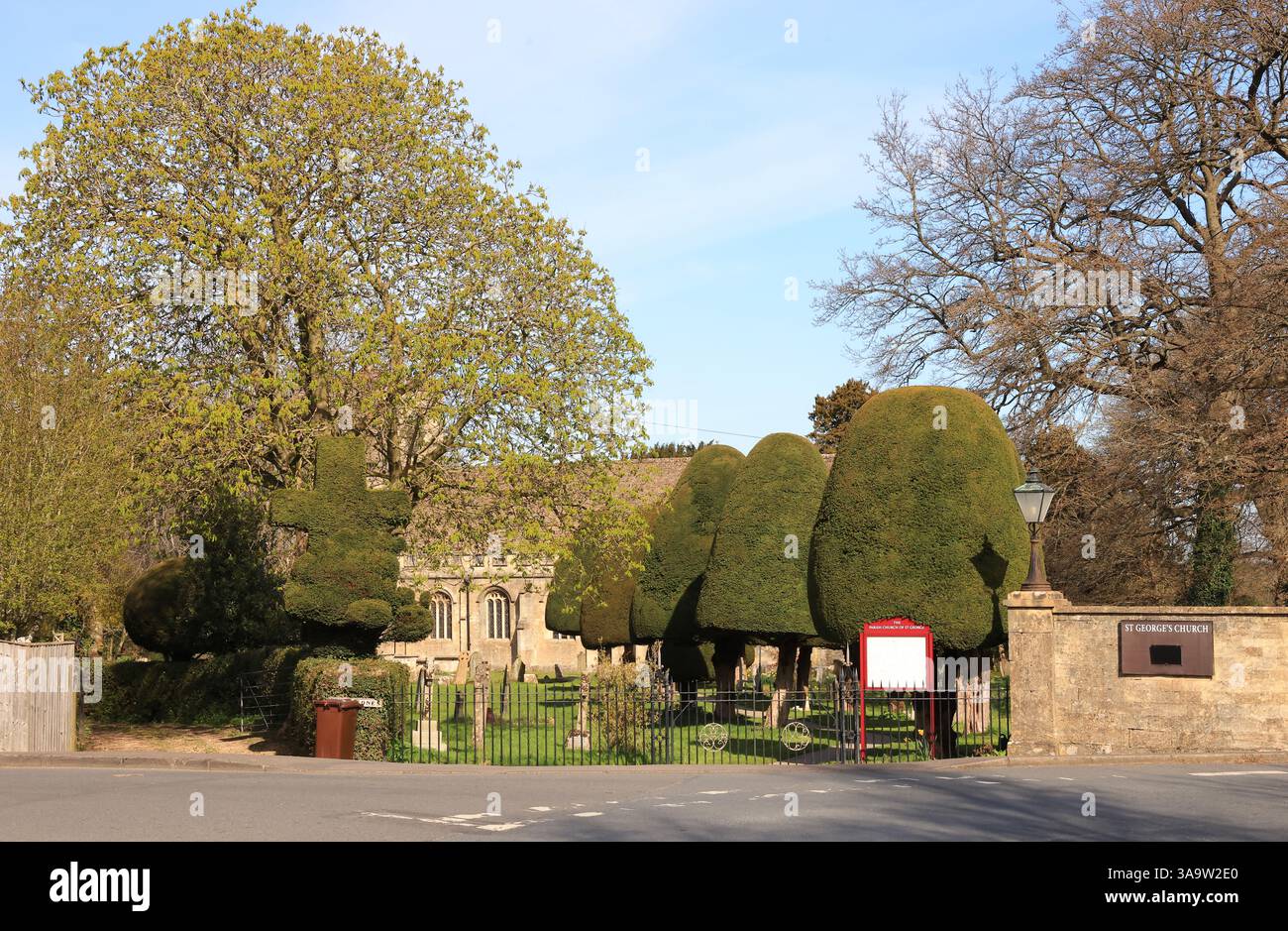 St Georges churchyard topiary dragon, King Stanley, Stroud ...