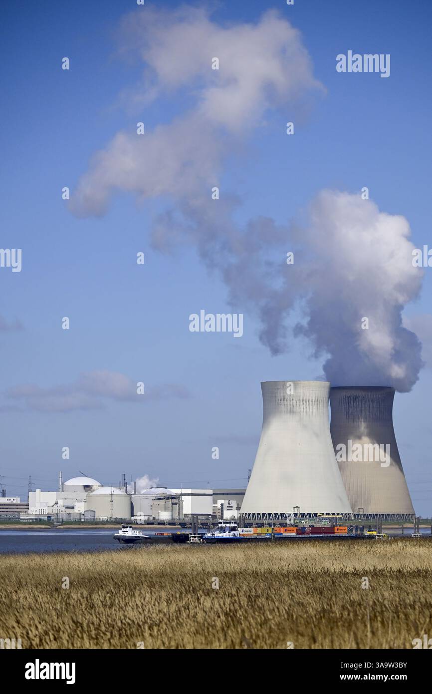 Beveren, Belgium. 31st Mar, 2025. The Doel Nuclear Power Station in ...