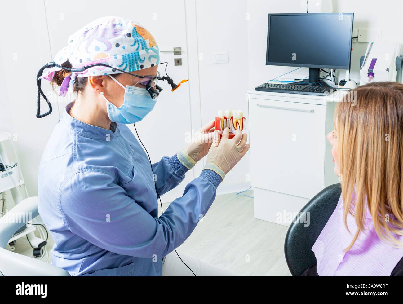 Female dentist explaining the features of an anatomical model of dental ...