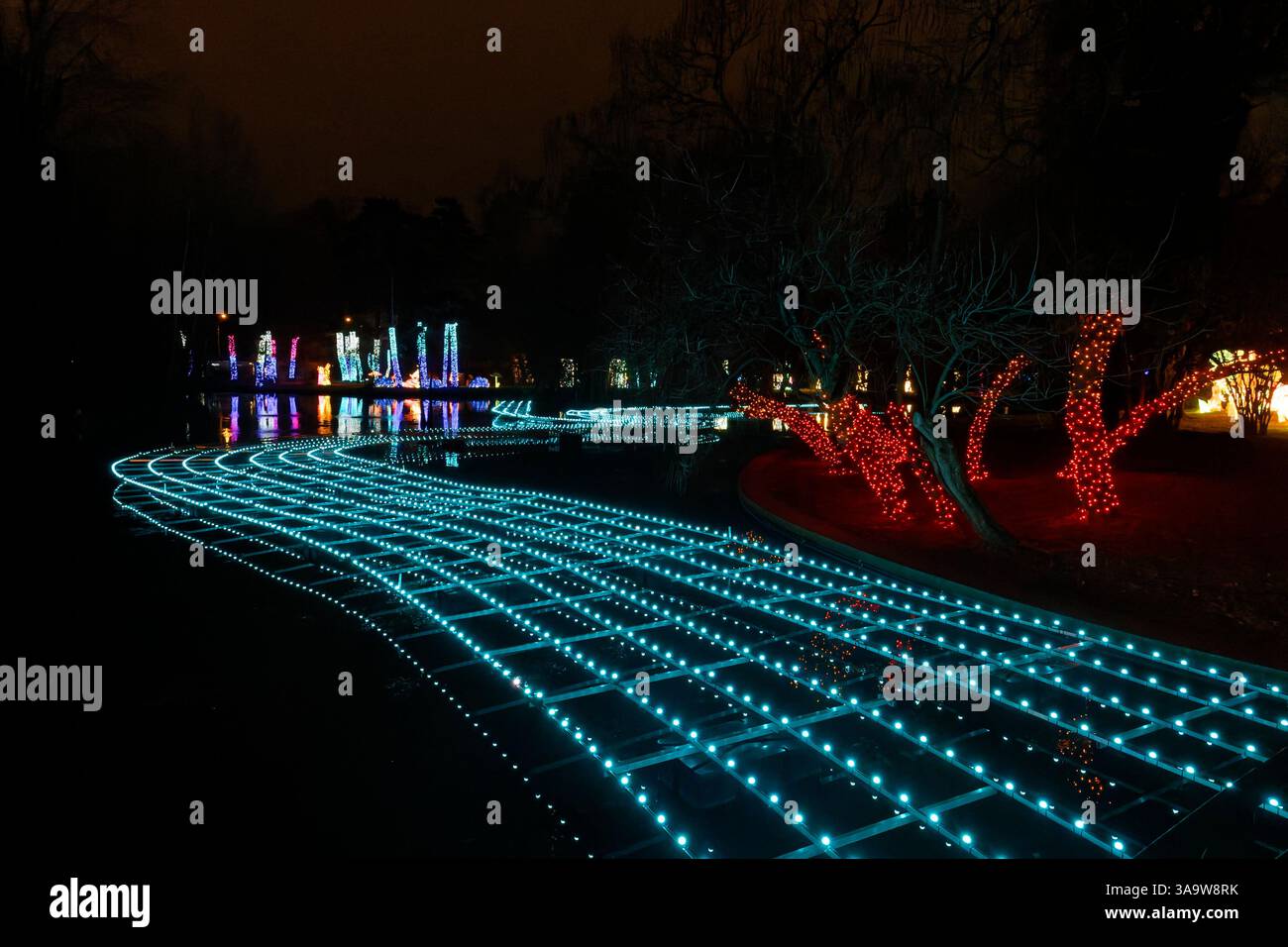 Figures and scences from the Garden of Light show about the Beauty and ...