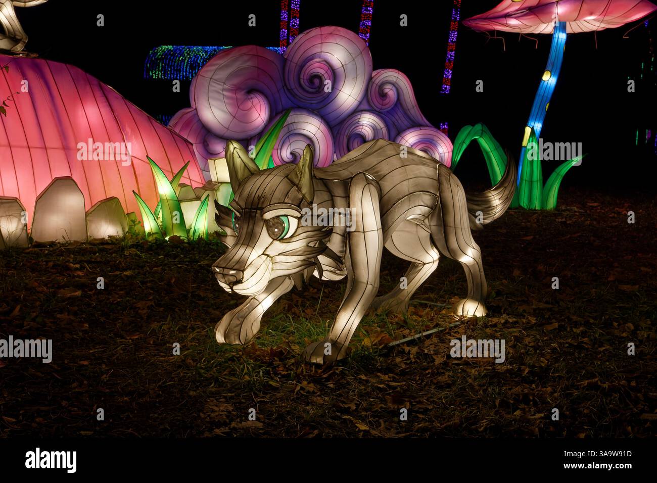 Figures and scences from the Garden of Light show about the Beauty and ...