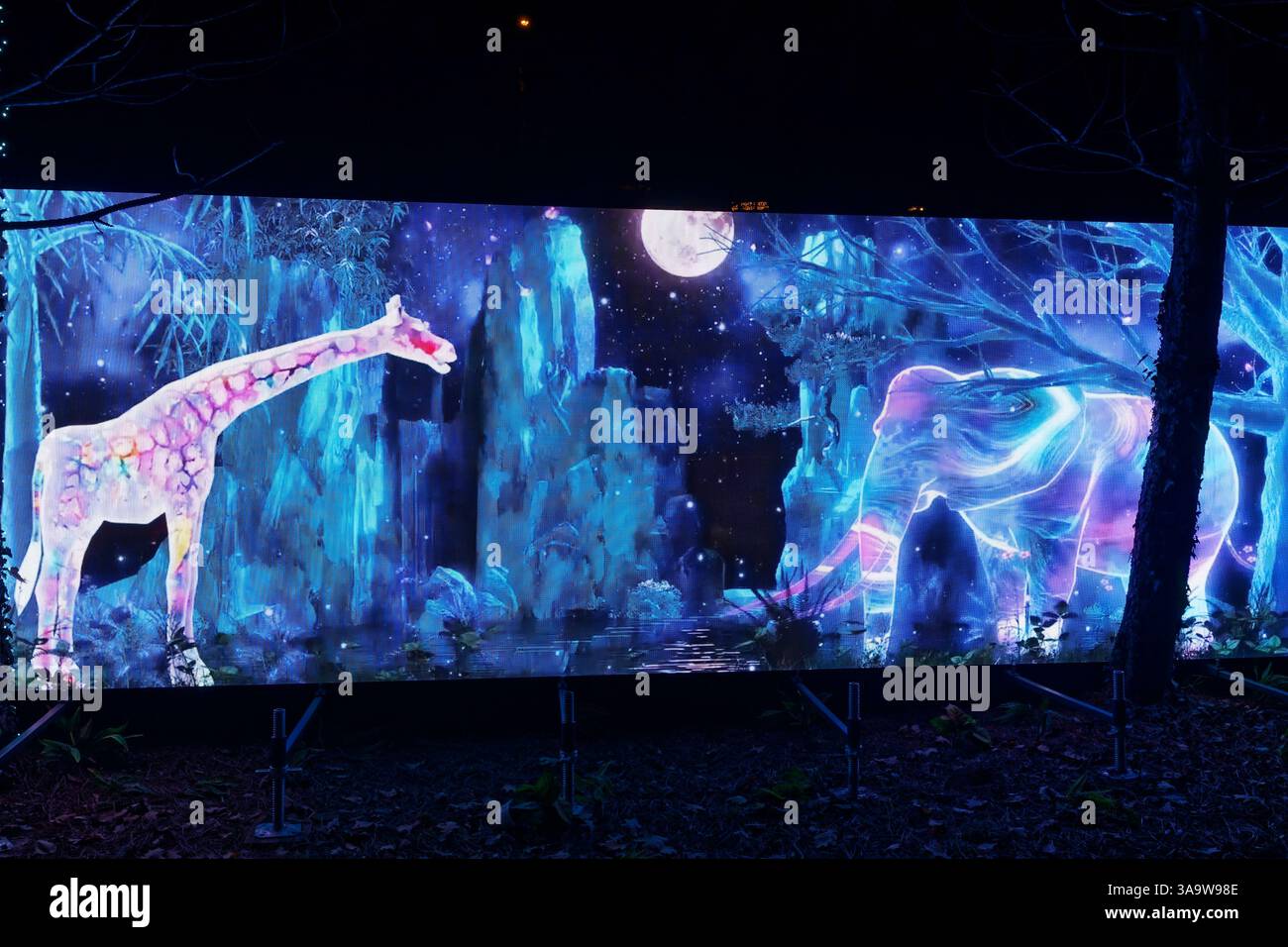 Figures and scences from the Garden of Light show about the Beauty and ...