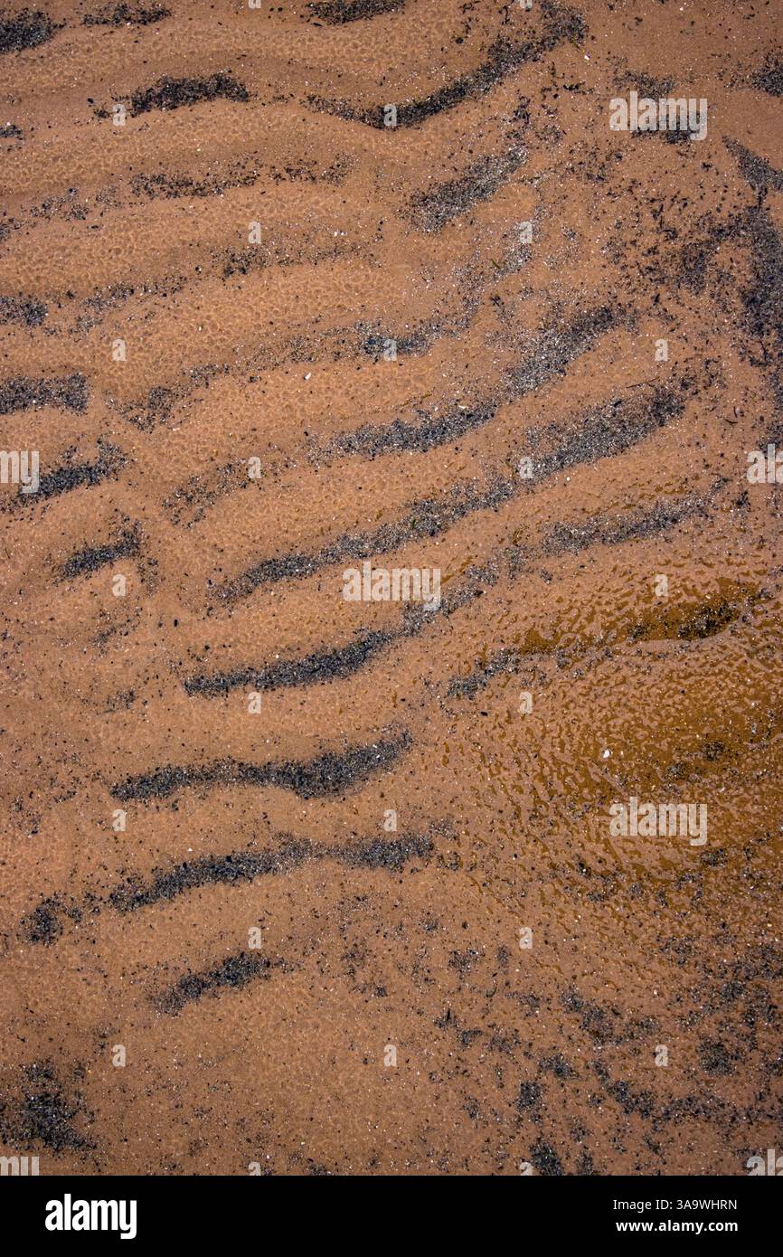 Sand texture. Sandy beach for background. Natural sand stone texture ...