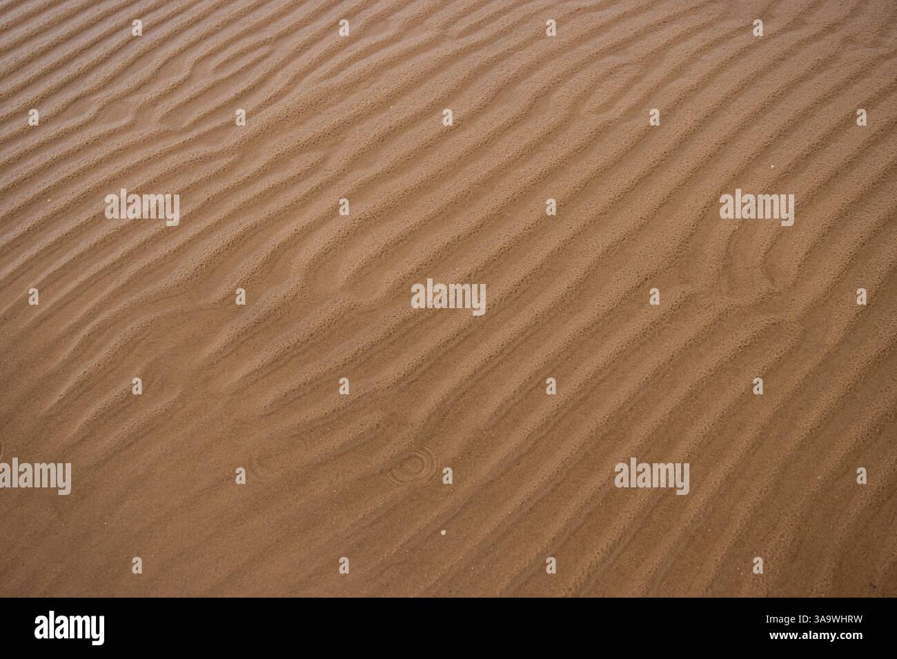 Seamless wet sand with sea water on a whole background. Empty wavy ...