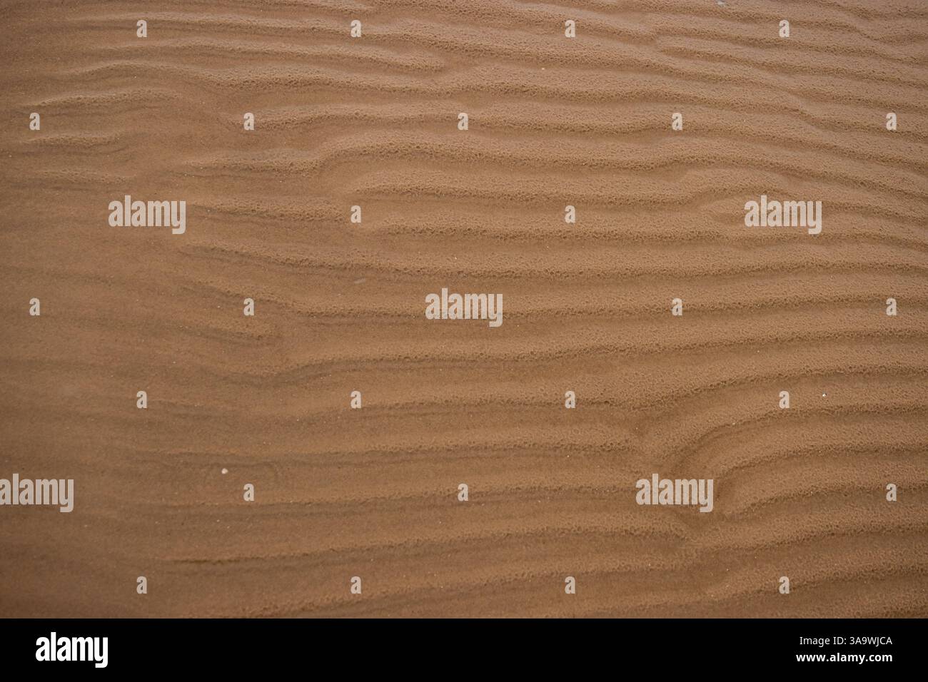 Seamless wet sand with sea water on a whole background. Empty wavy ...