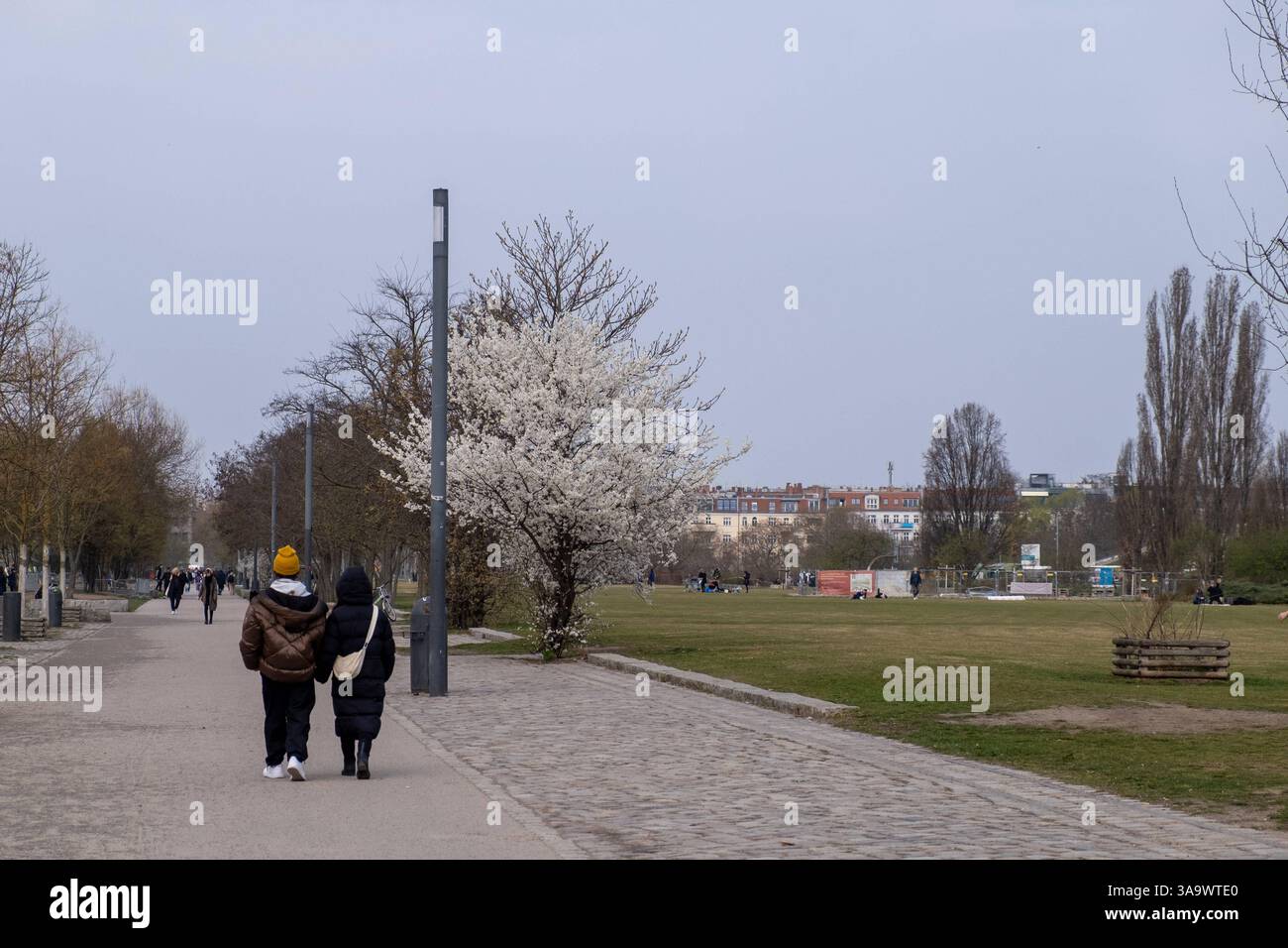 Besucher im Berliner Mauerpark zwischen den Stadtteilen Prenzlauer Berg ...