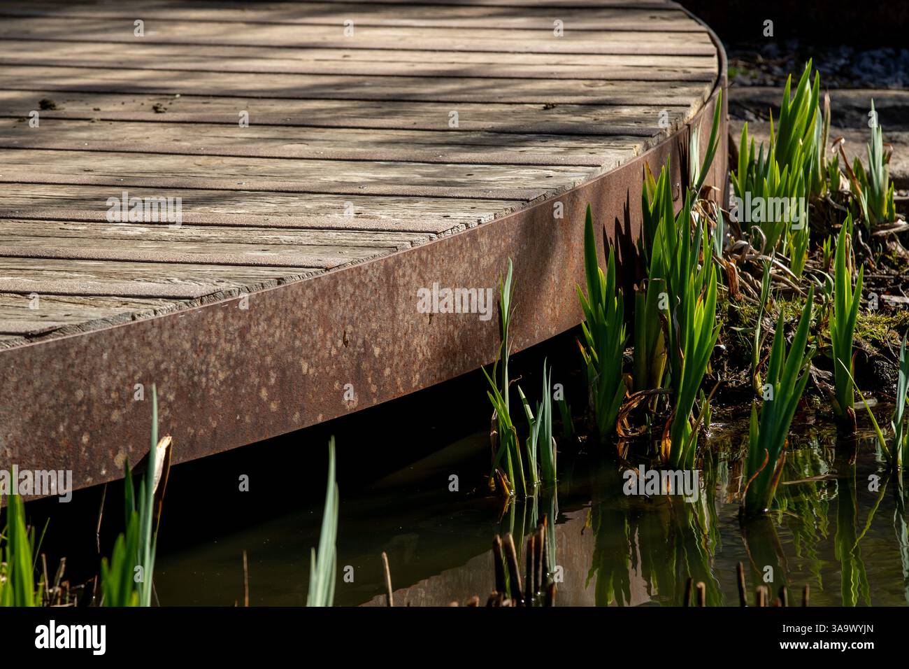 COR-TEN weathering steel edged decking and wildlife pond. Slimbridge ...