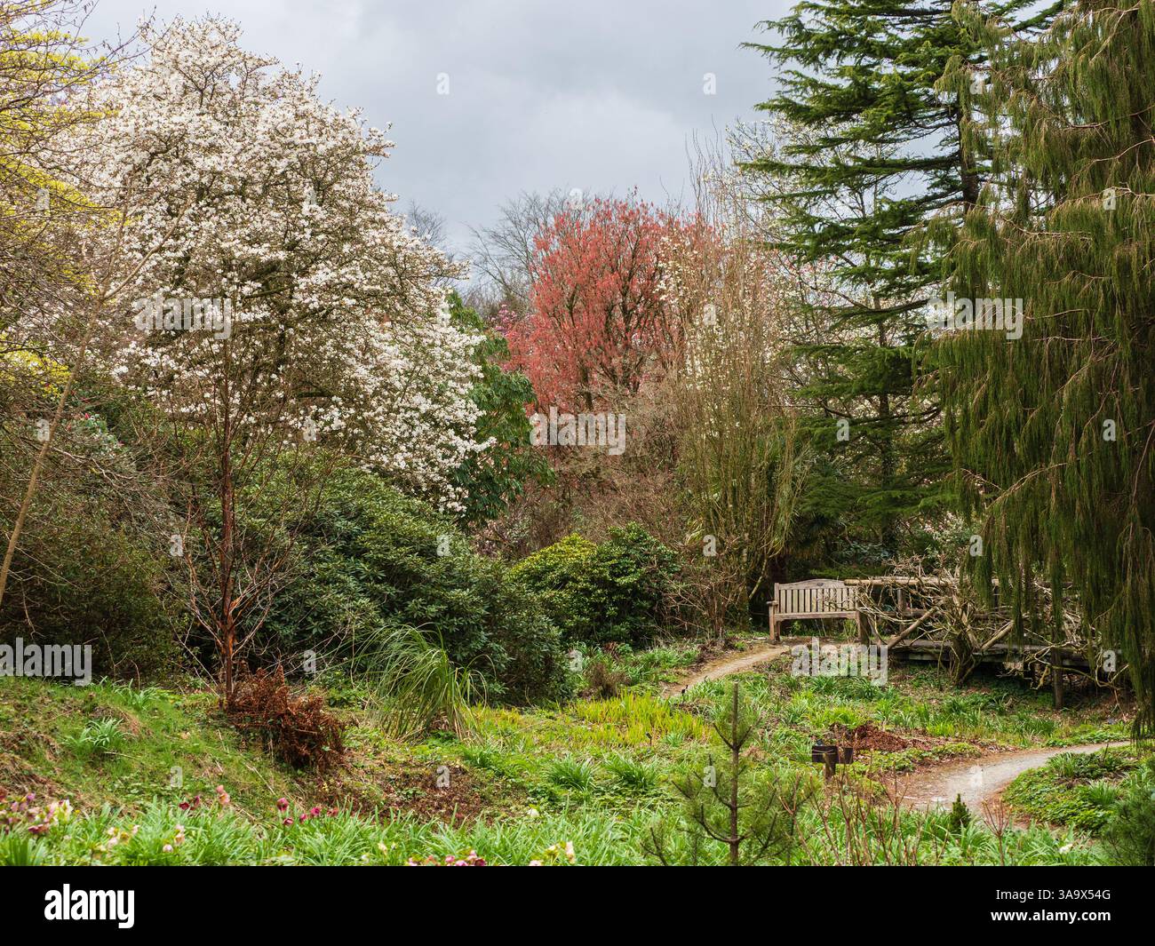 Early spring view of the ornamental plantings at The Garden House ...