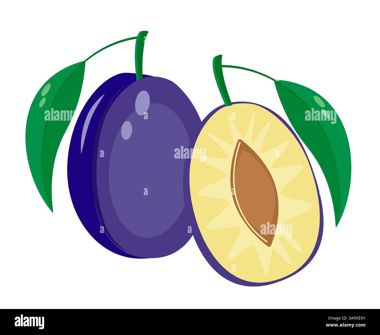 Ripe blue plum fruits Stock Vector Images - Alamy