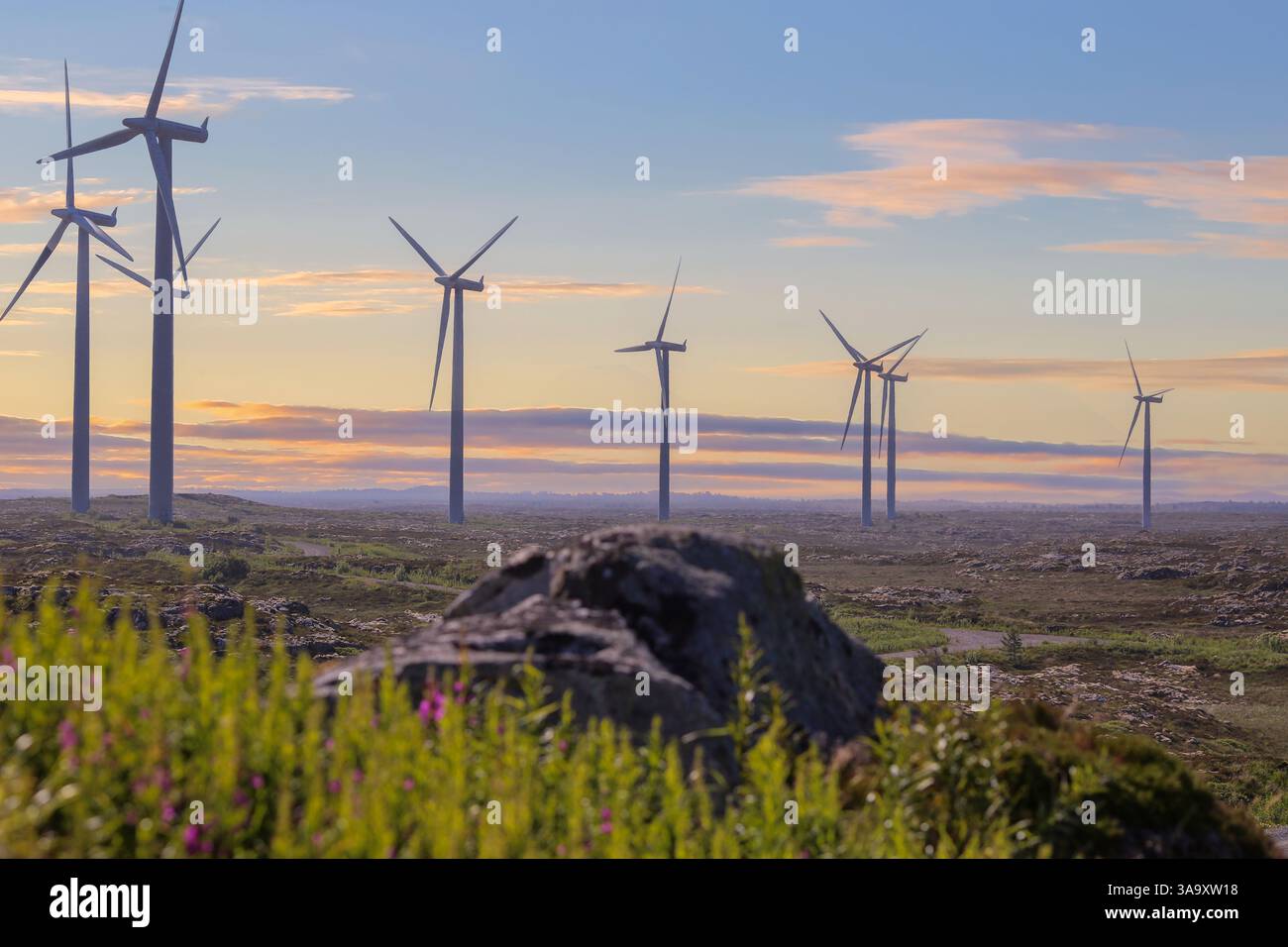 Wind turbines in the Smoela Wind park located on the island Smoela ...