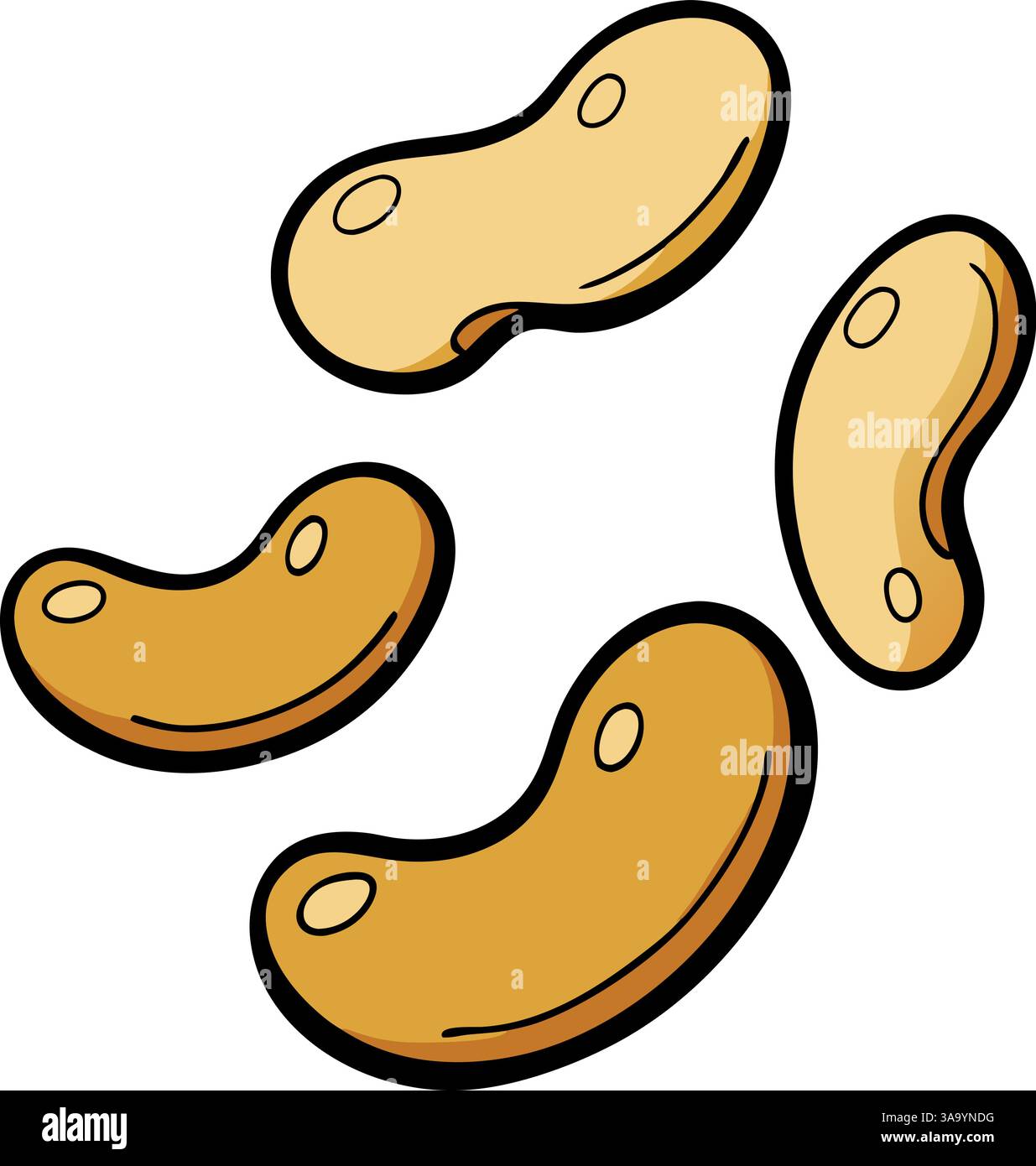 Four cashew nuts vector illustration Stock Vector Image & Art - Alamy