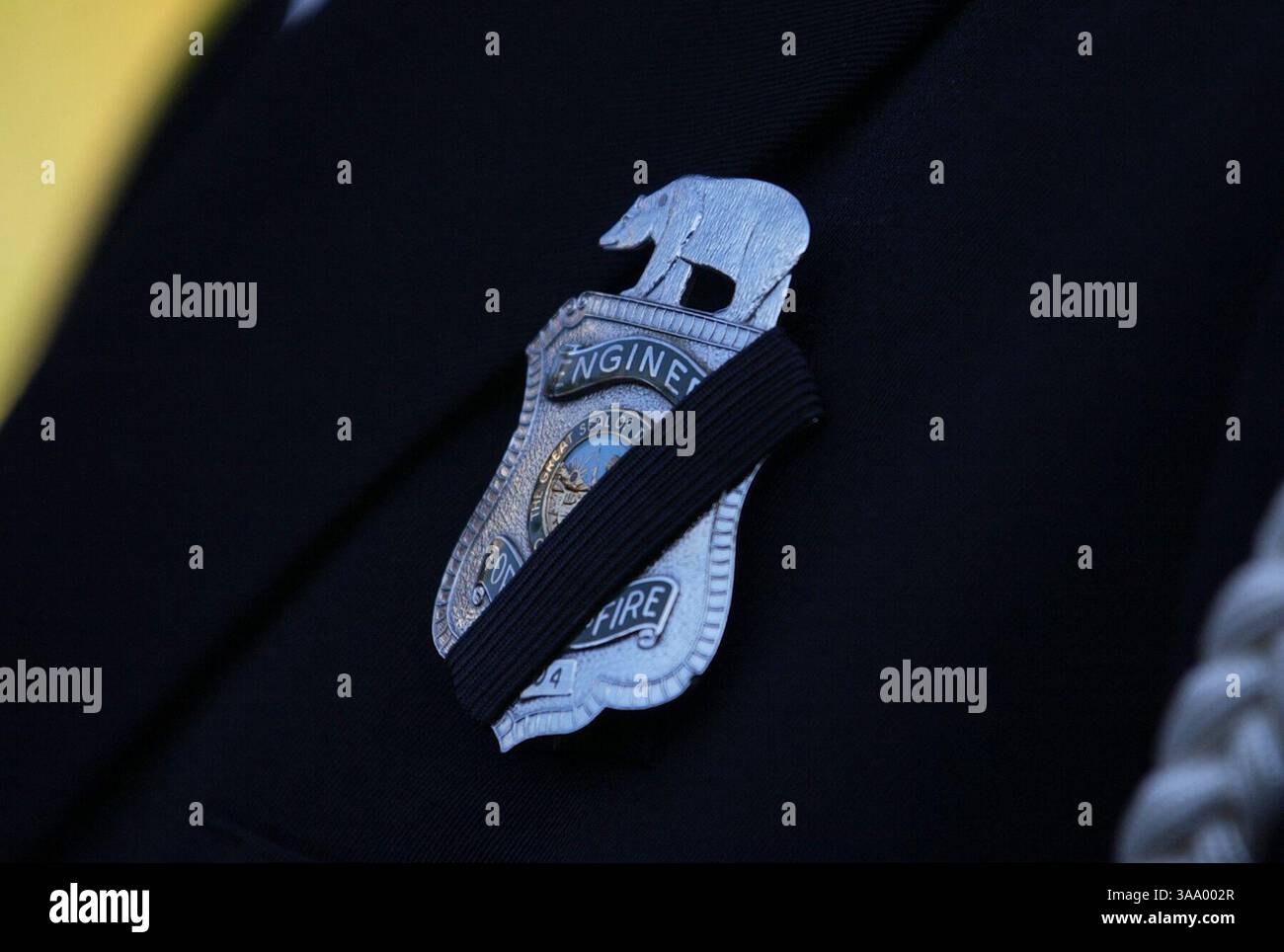 Coffin state forest hi-res stock photography and images - Alamy