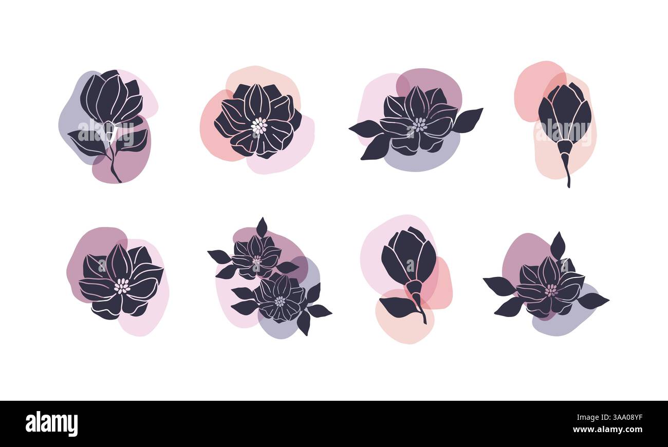 Magnolia flower hand drawn Stock Vector Images - Alamy