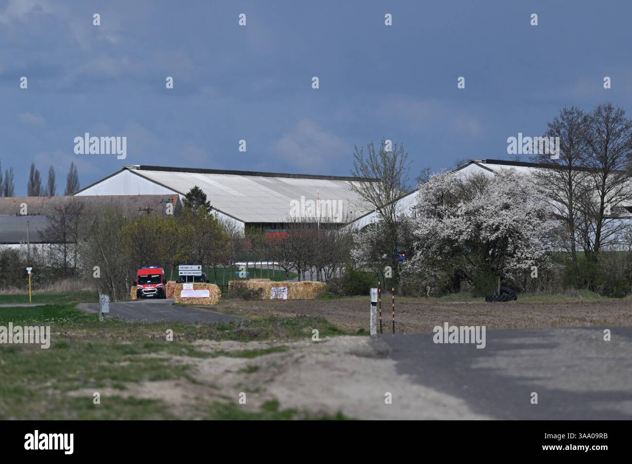 Plavecky Stvrtok, Slovakia. 31st Mar, 2025. A new outbreak of foot-and ...