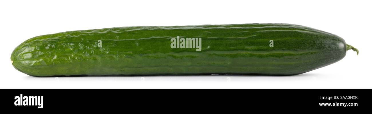 Cucumber laying down side ways. Isolated on a white background Stock ...