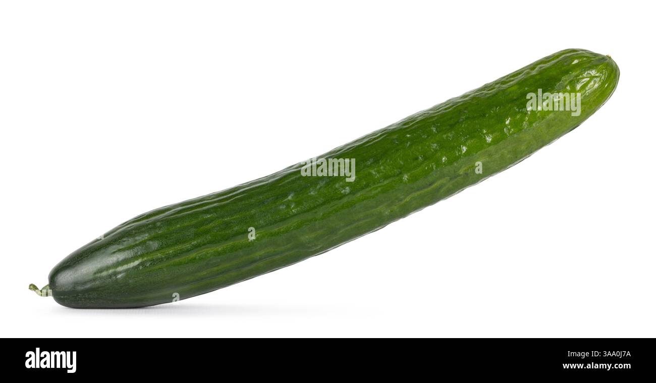 Cucumber standing ad an angle side ways. Isolated on a white background ...
