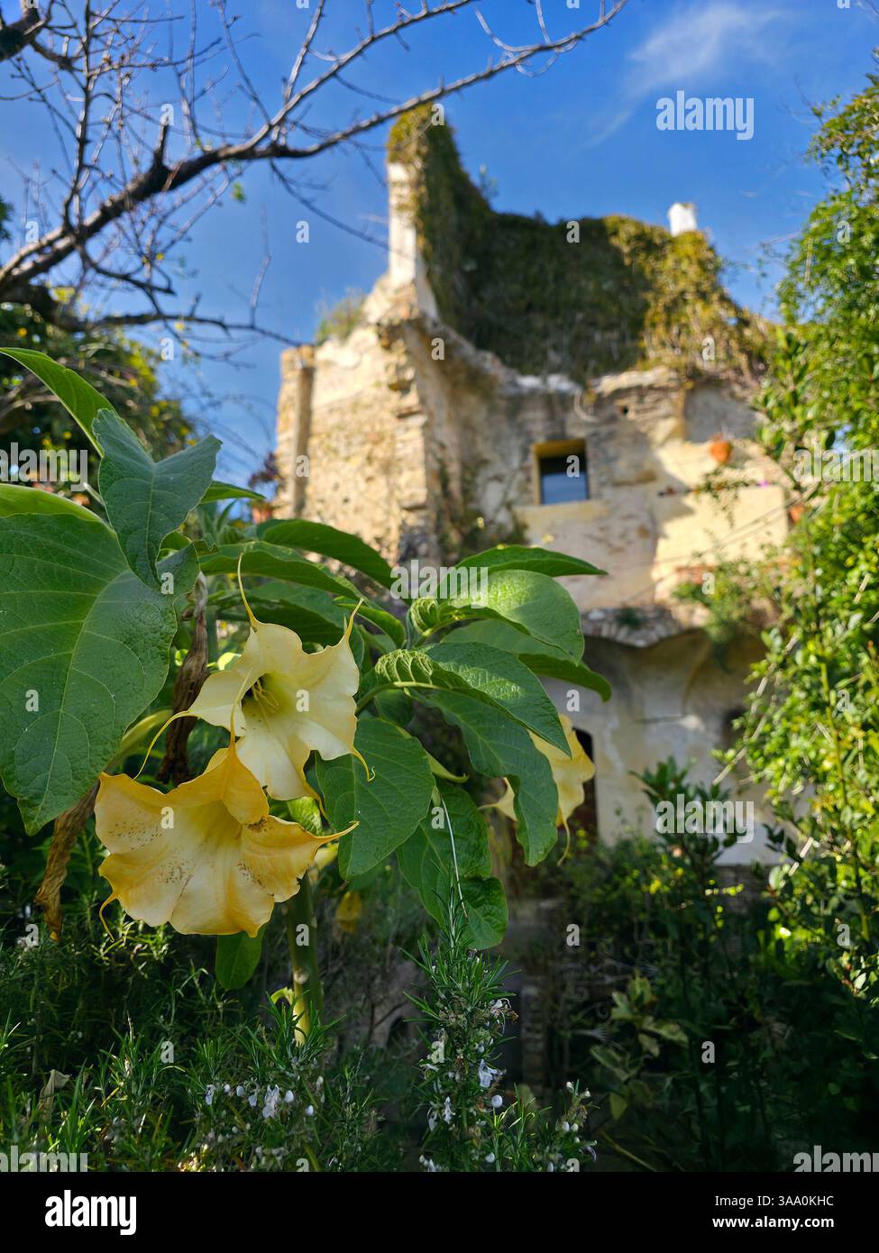 Bussana Vecchia artist retreat medieval village destroyed by earthquake ...
