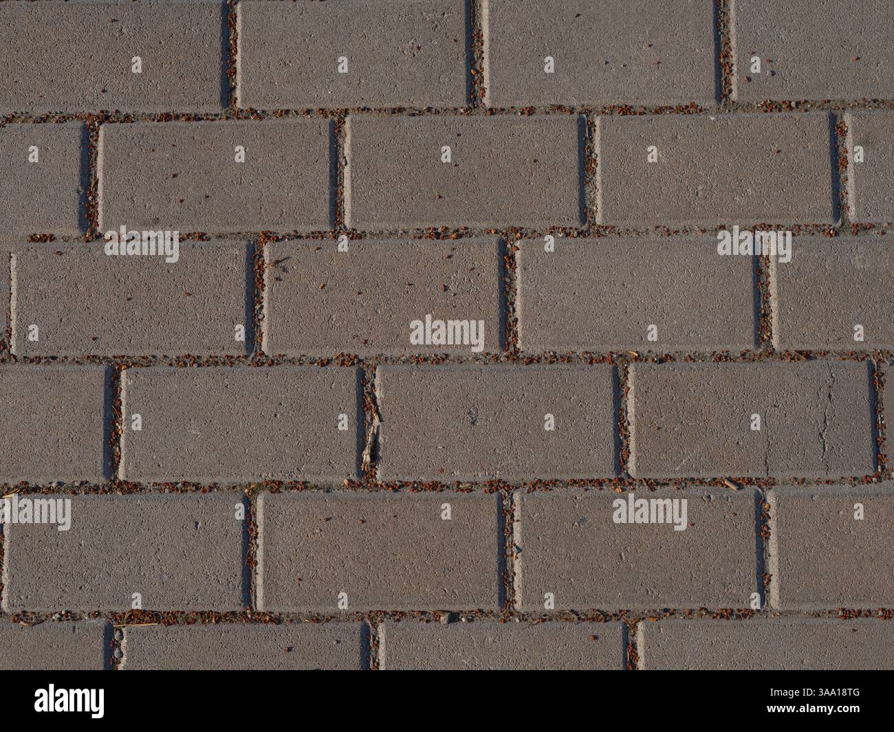Close-up of pavement texture with rectangular paving slabs with ...