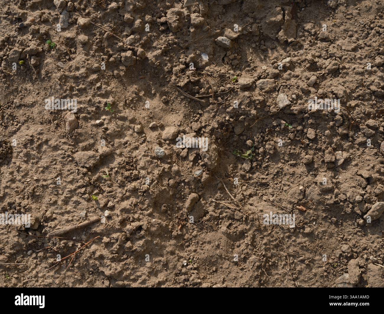 Top View And Close up Of Heavy Compact And Non fertile Clayey Soil