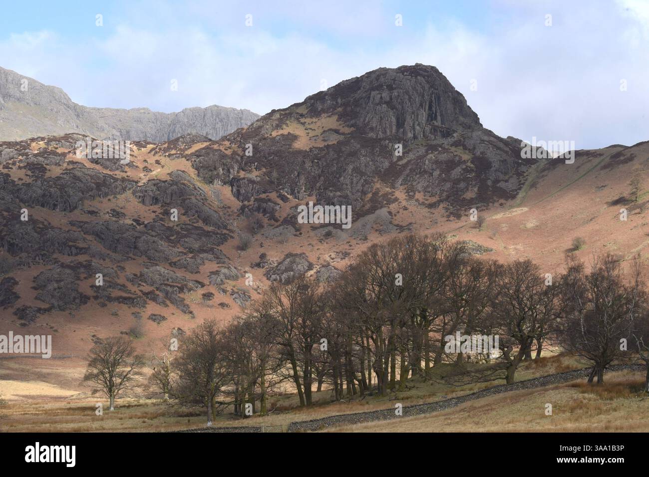 Lake district, Cumbria, England, United Kingdom, The Langdale's, Little ...