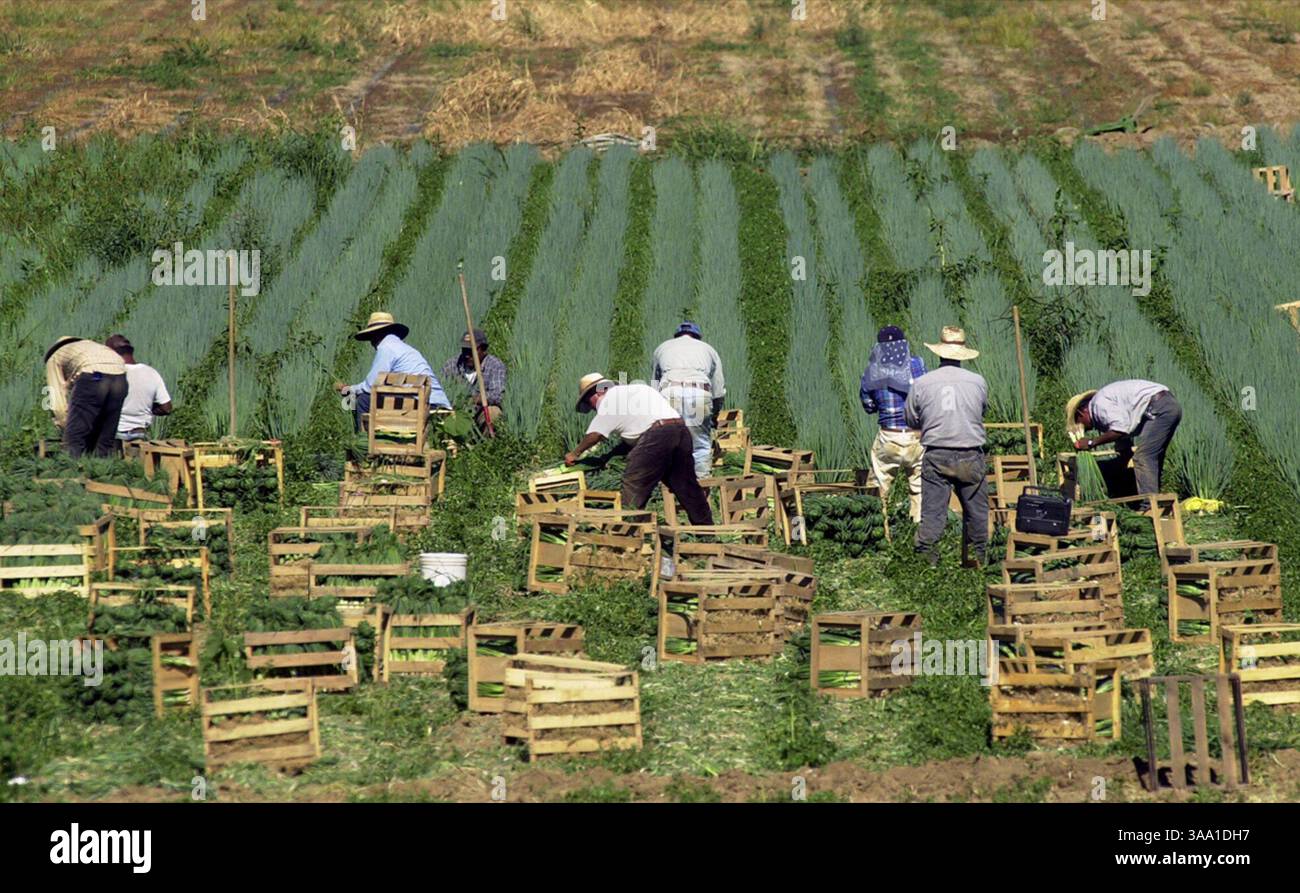 Rice annex hi-res stock photography and images - Alamy